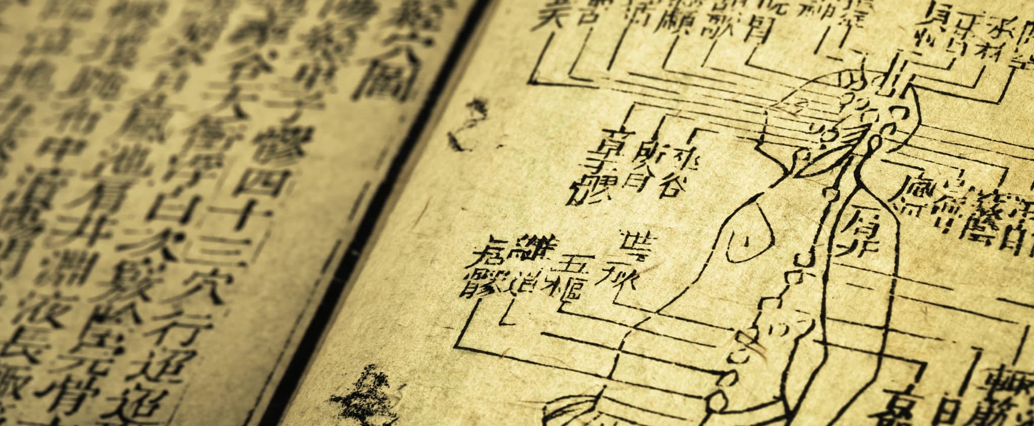 TCM in Nürnberg (Traditionelle Chinesische Medizin)